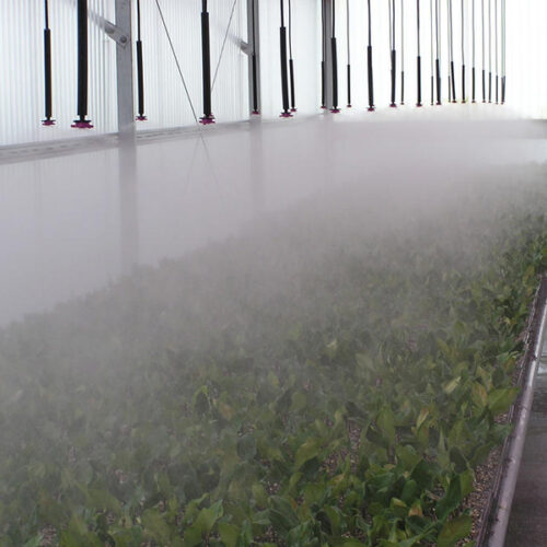 Nebulizador Senninger Mister Invertido · Copersa